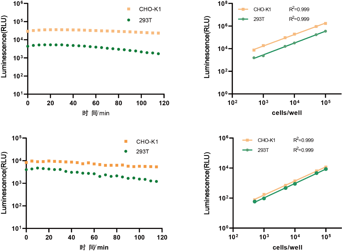 Firefly&Renilla-Light双萤光素酶报告基因检测试剂盒 – 美仑生物