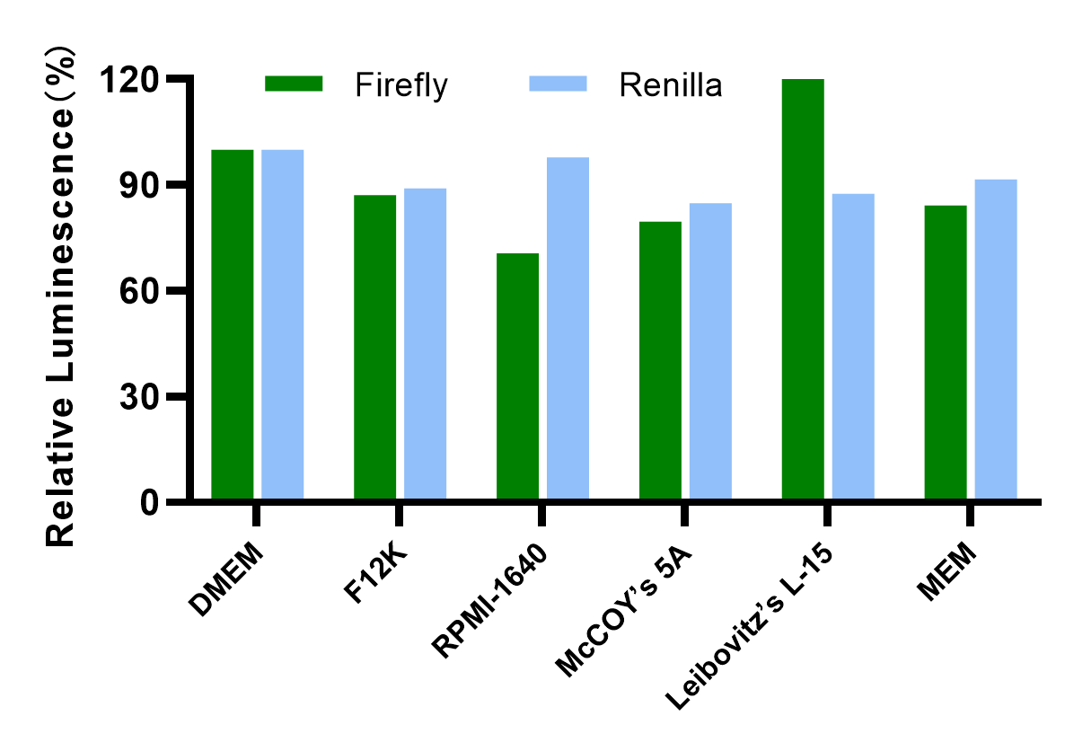 Firefly&Renilla-Light双萤光素酶报告基因检测试剂盒 – 美仑生物