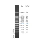 100bp DNA Ladder Marker(100～1500bp) – 美仑生物