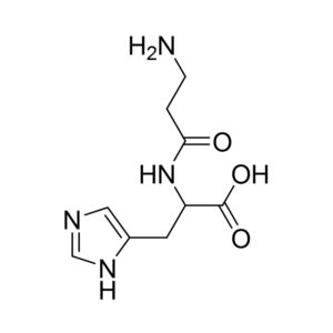 酶辅酶 – 第 2 页 – 美仑生物