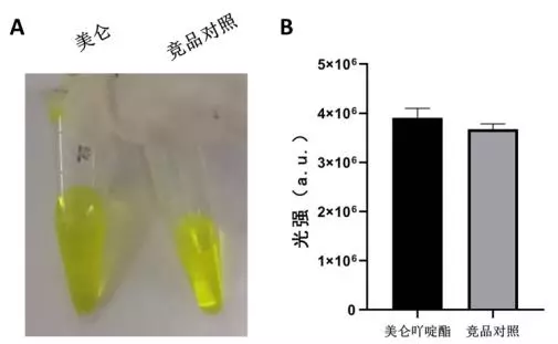 吖啶酯(NSP-SA-NHS) – 美仑生物