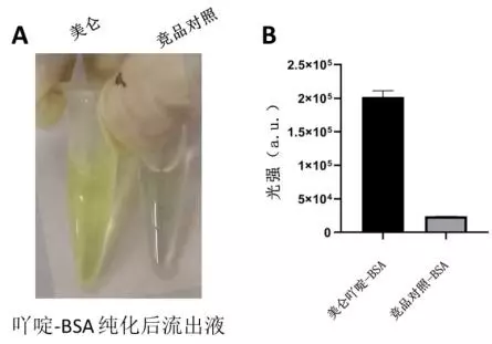 吖啶酯(NSP-SA-NHS) – 美仑生物