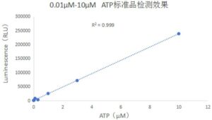 增强型ATP检测试剂盒 – 美仑生物