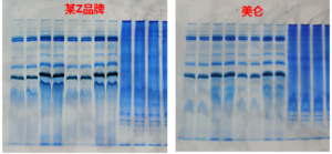 10× Native PAGE电泳缓冲液粉末 – 美仑生物