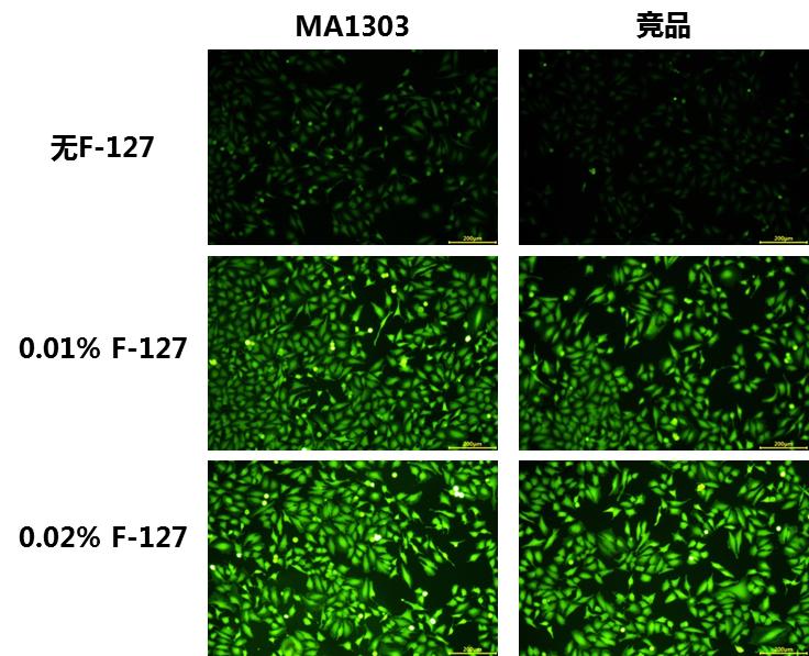 Pluronic F-127(100mg/mL,无菌) – 美仑生物
