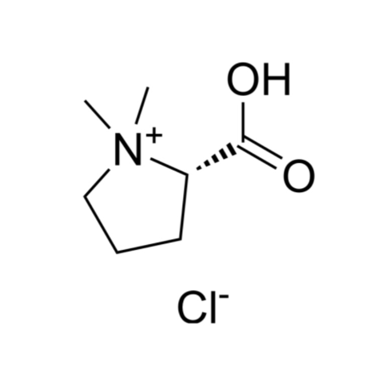 Stachydrine hydrochloride – 美仑生物