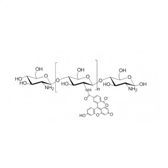 FITC-Dextran (MW 40000) – 美仑生物